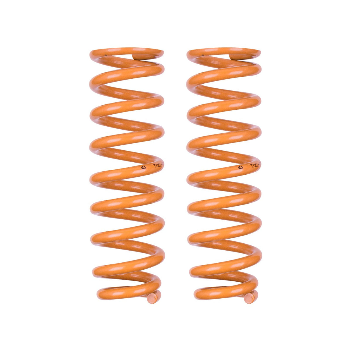 Mitsubishi Triton (2023-2025) MV 40mm Front Coils - Tough Dog – Canyon ...